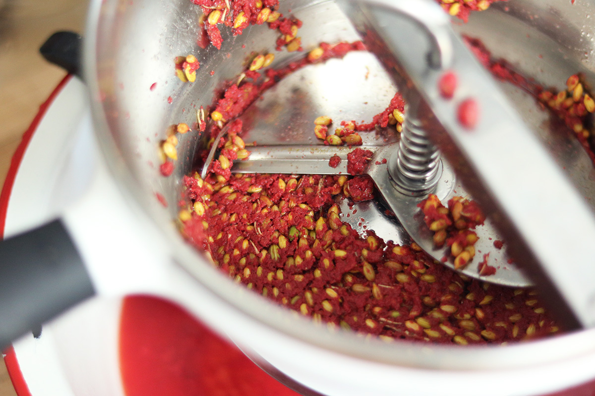 Autumn olives are an edible and invasive fruit that is sustainable to forage