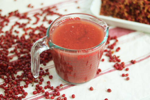 Autumn olives are an edible and invasive fruit that is sustainable to forage