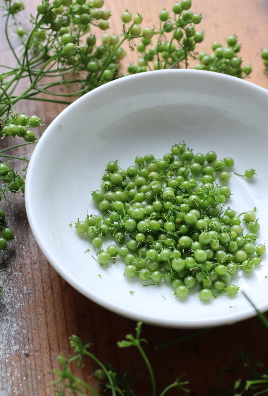 Green Coriander Seeds: How to Use Fresh Cilantro Seeds