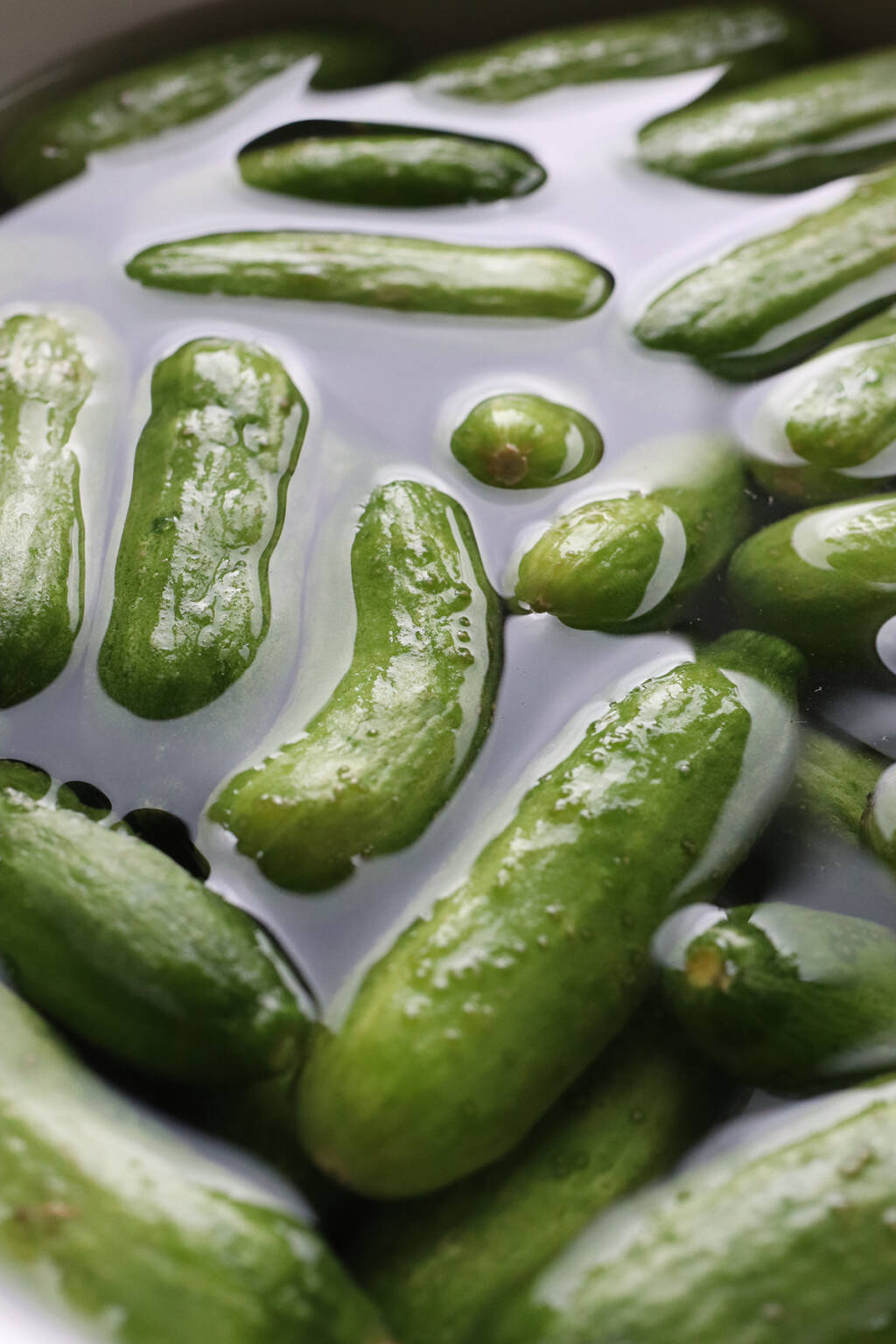Cornichons: An Easy Recipe for Tiny Pickled Cucumbers