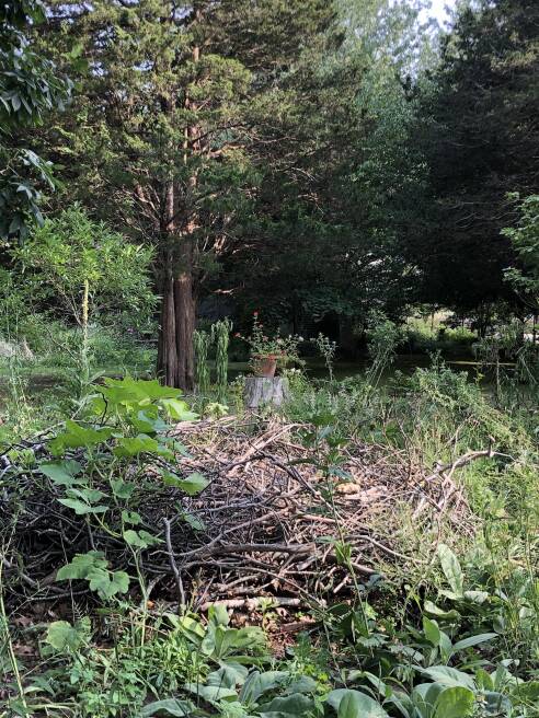 Habitat Piles: How to Turn Garden Debris Into Shelter and Sculpture