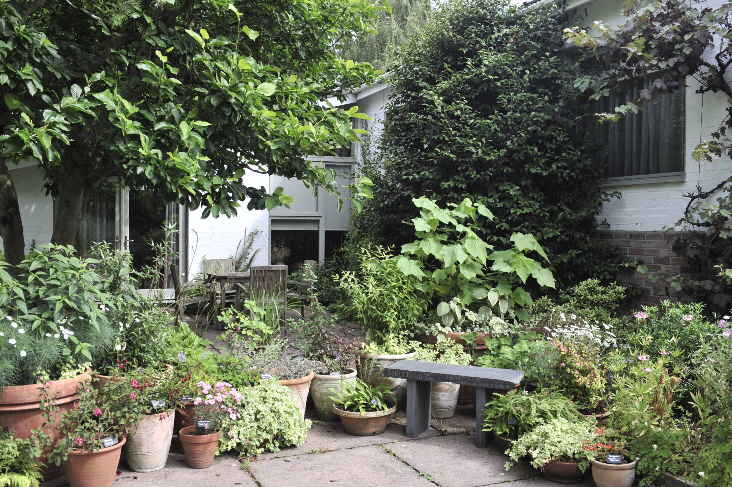 Beth Chatto's Scree Garden: A Visit to the Garden Next to Her Home