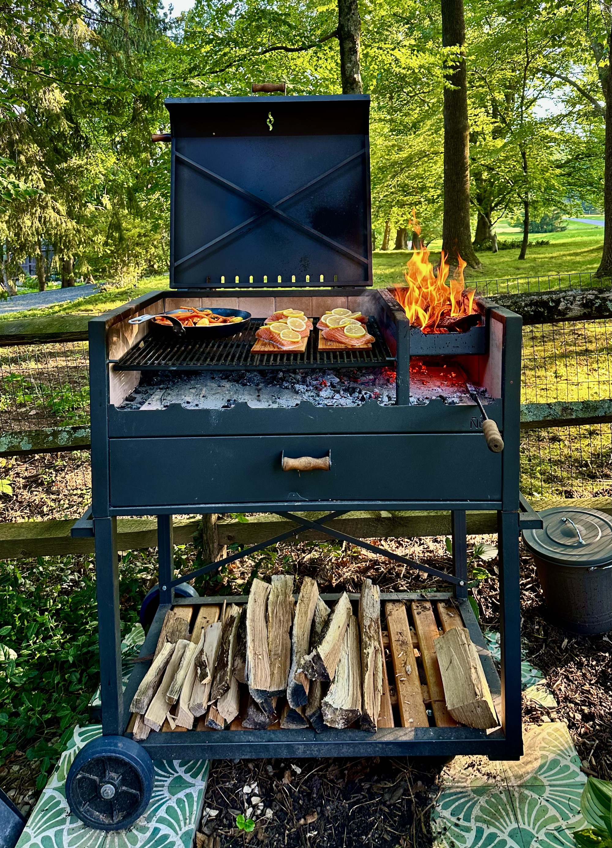 Solo Stove and Nuke Delta: How to Cook with Fire at Home