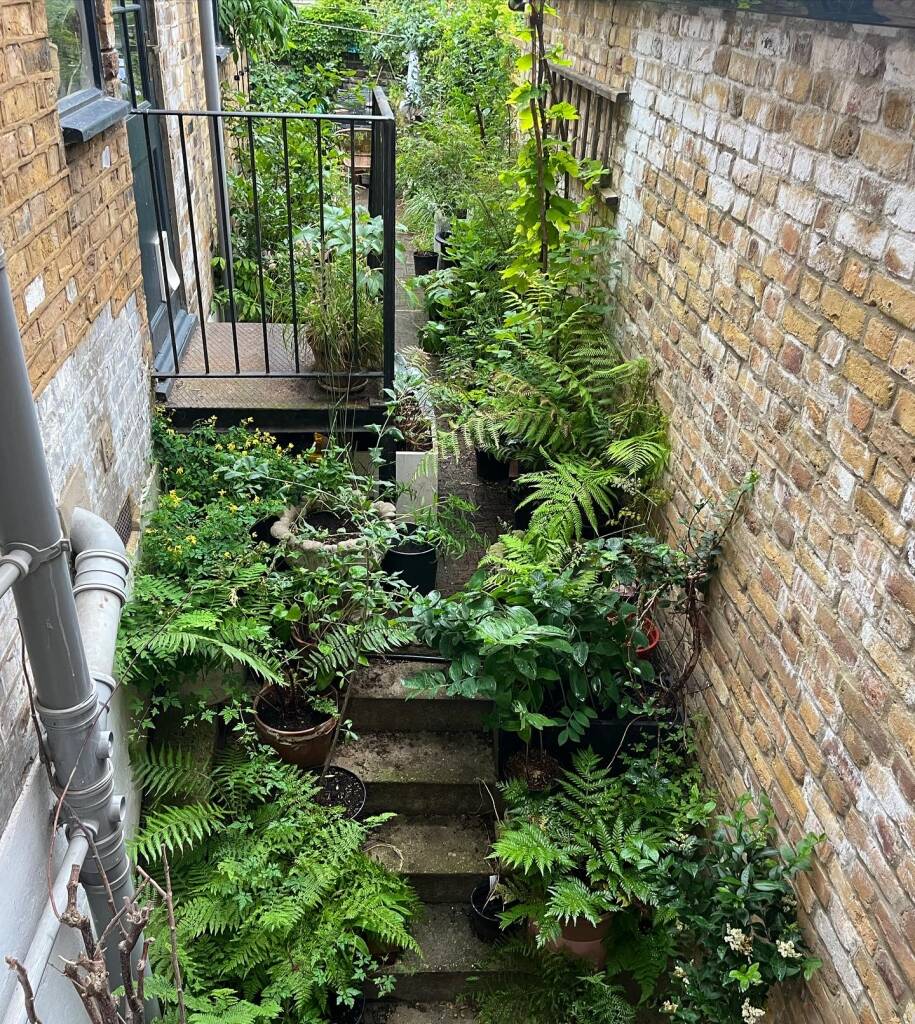 Susanna Grant: The Designer's Best Tips for a Thriving Shade Garden