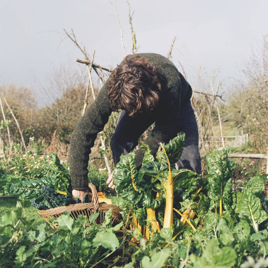 Julius Roberts' New Cookbook 'The Farm Table': Review