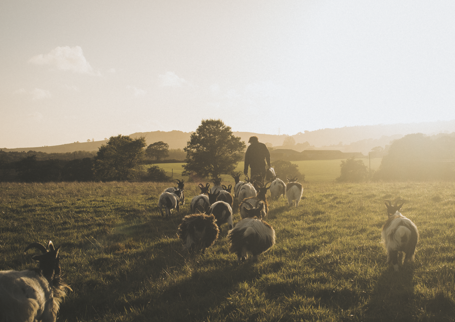 Julius Roberts' New Cookbook 'The Farm Table': Review