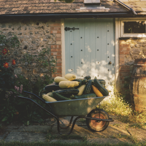 Julius Roberts' New Cookbook 'The Farm Table': Review