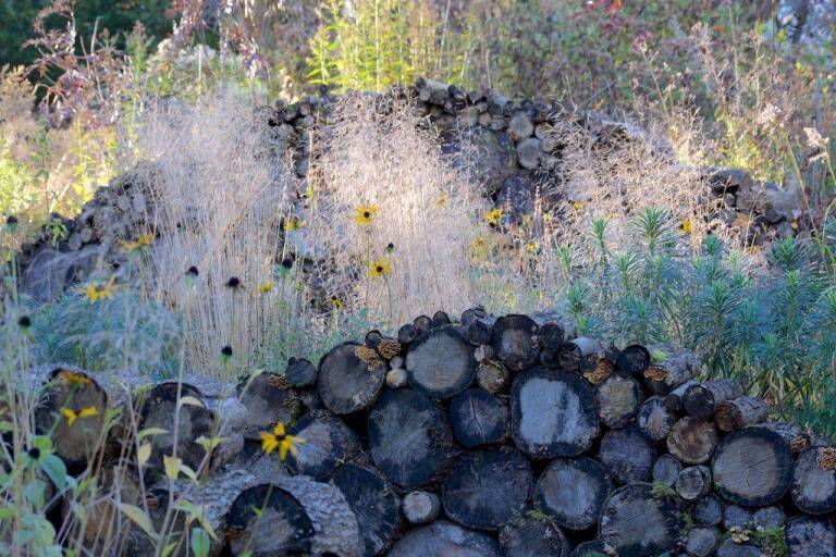 Log Pile Habitats: Beloved by Nigel Dunnett and Other Garden Designers
