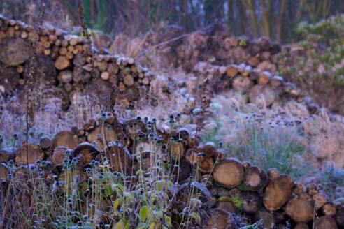 Log Pile Habitats: Beloved by Nigel Dunnett and Other Garden Designers