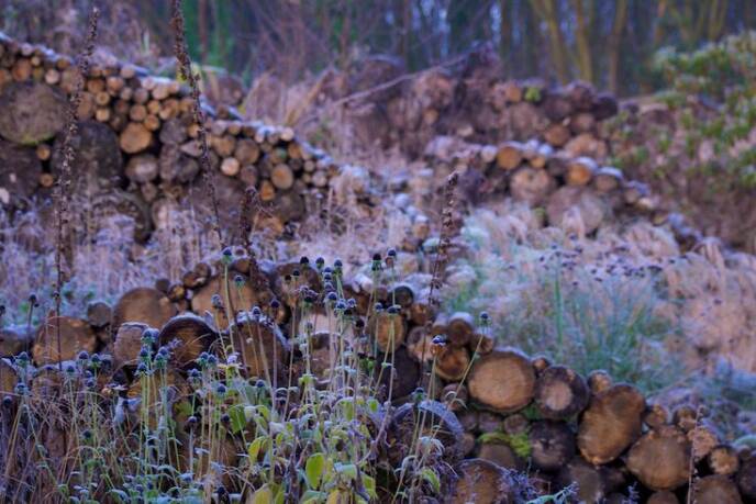 Log Pile Habitats: Beloved by Nigel Dunnett and Other Garden Designers
