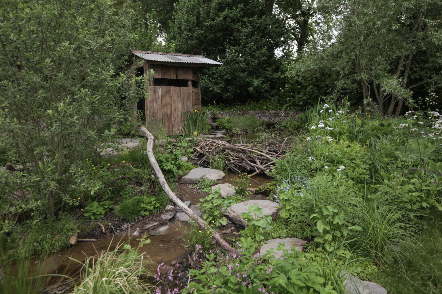 The Book of Wilding: A Practical Guide to Rewilding Big and Small: Review