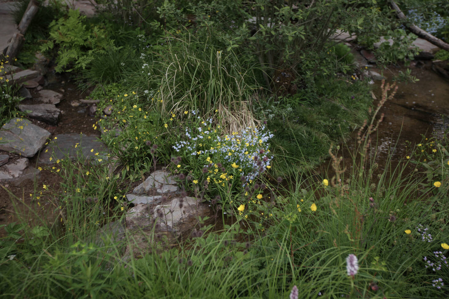 The Book of Wilding: A Practical Guide to Rewilding Big and Small: Review