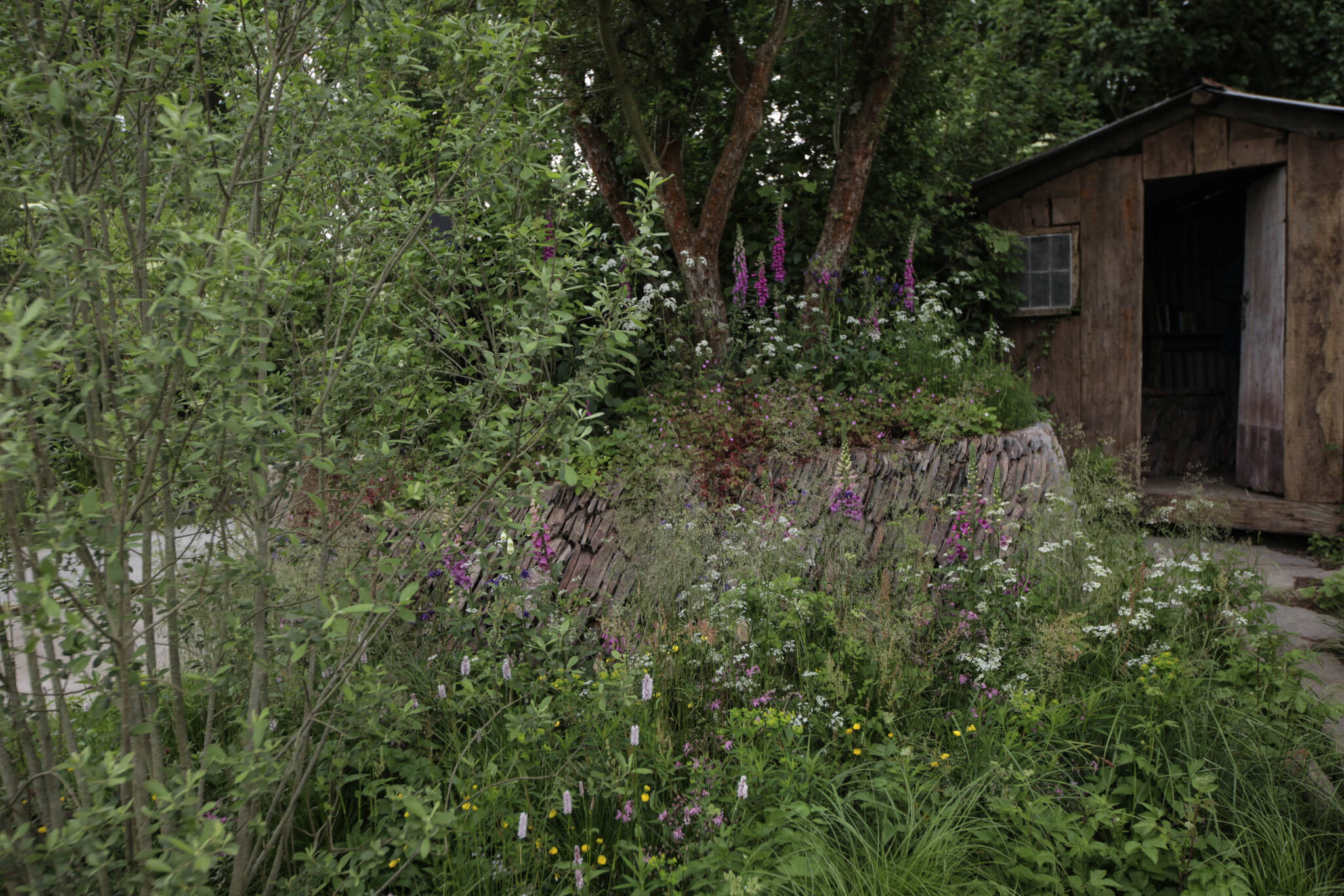 The Book of Wilding: A Practical Guide to Rewilding Big and Small: Review