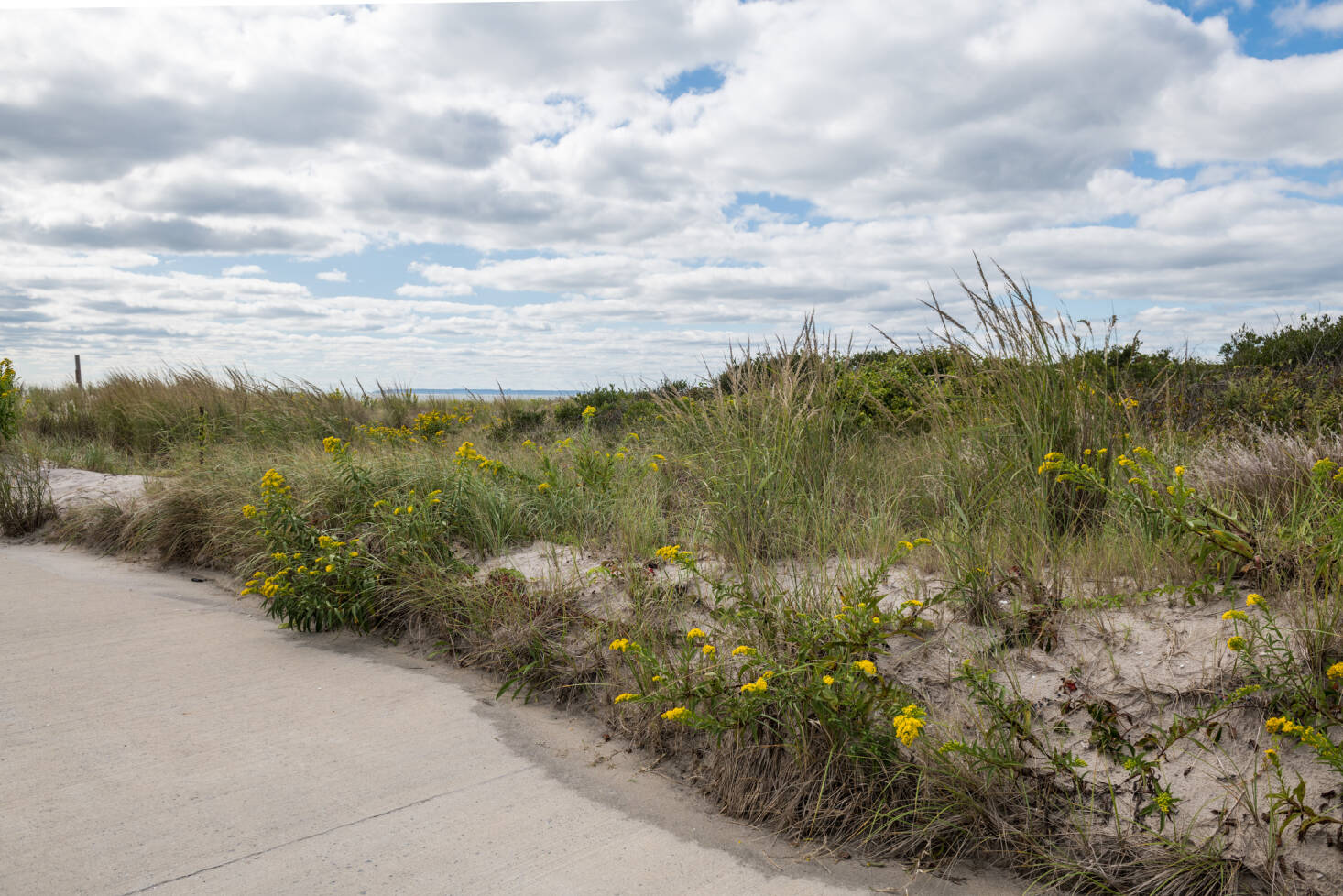 Fort Tilden at the Rockaway Peninsula in Queens: A Natural Haven