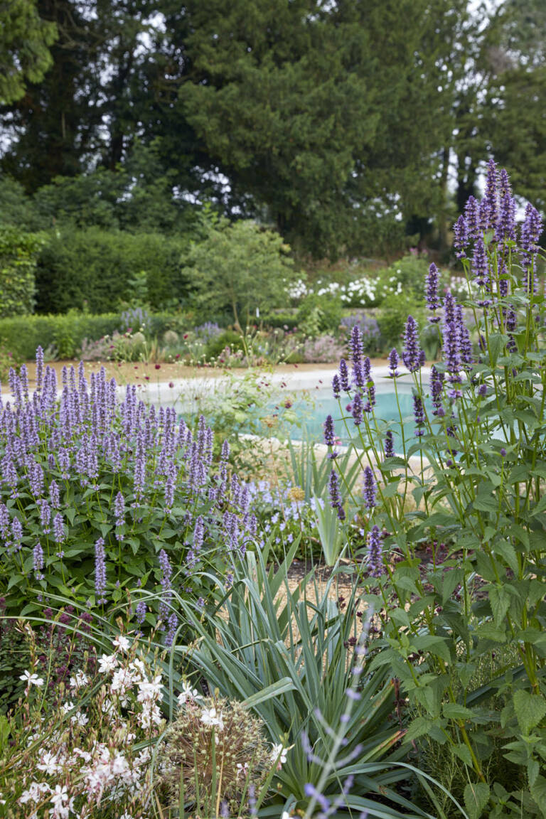 What Makes a Garden, by Jinny Blom: A Review of Her Second Book