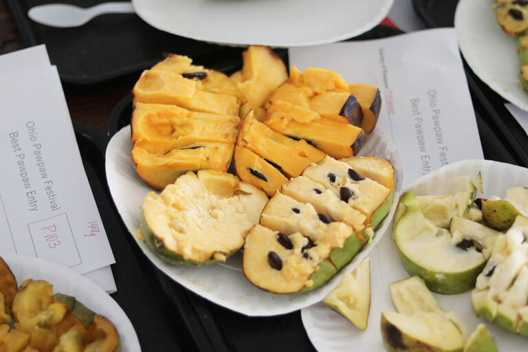 Pawpaws: Everything You Need to Know About the Native American Fruit