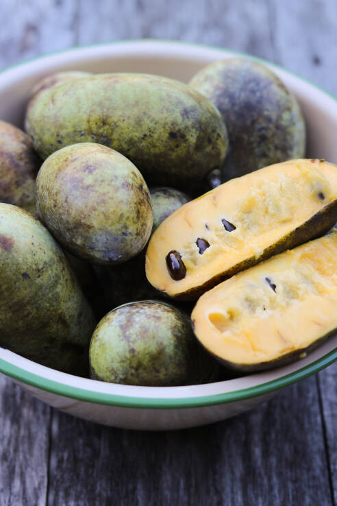 Pawpaws: Everything You Need to Know About the Native American Fruit