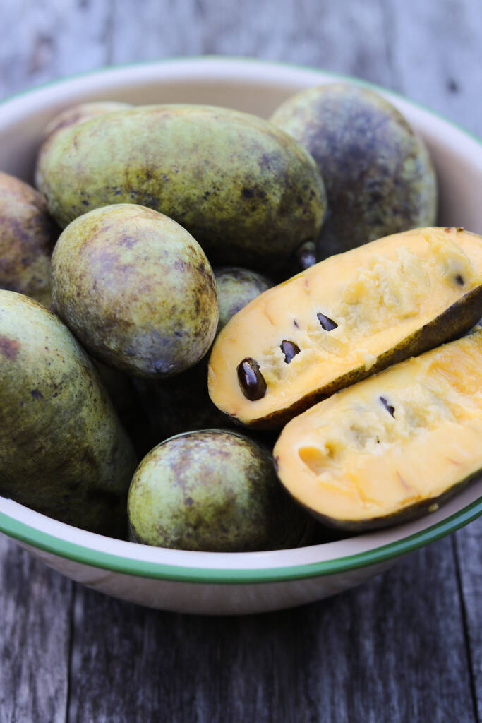 Pawpaws: Everything You Need to Know About the Native American Fruit