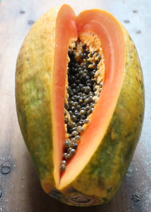 Pawpaws: Everything You Need to Know About the Native American Fruit