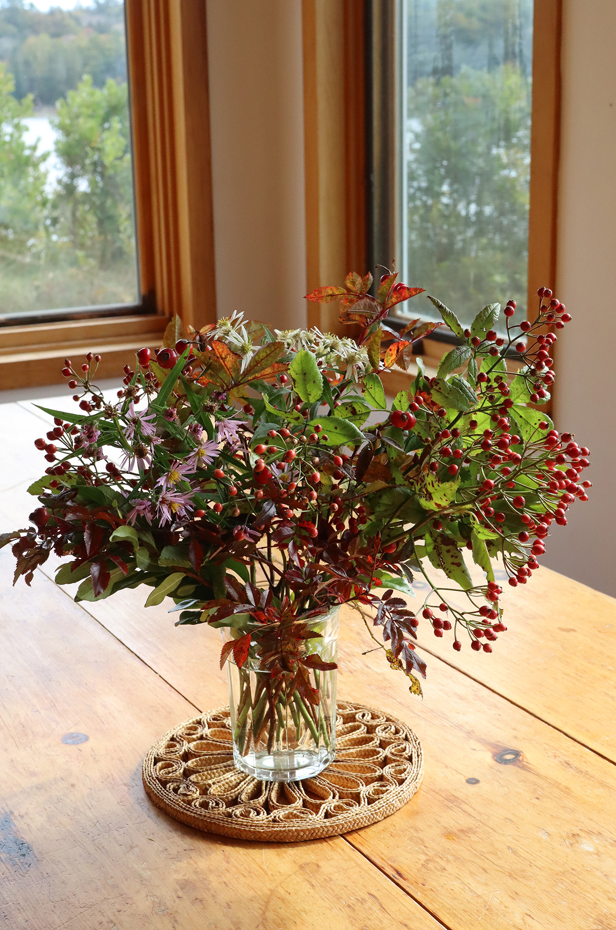 Rosehips are a nutritious functional food and ripe in fall