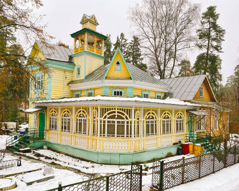 Dacha: The Soviet Country Cottage, A Photo Book by Fyodor Savintsev