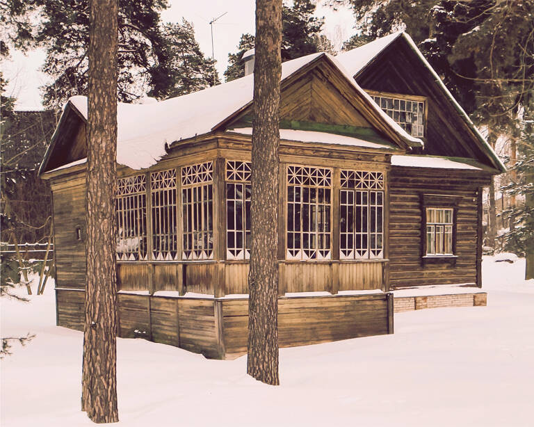 Dacha: The Soviet Country Cottage, A Photo Book by Fyodor Savintsev