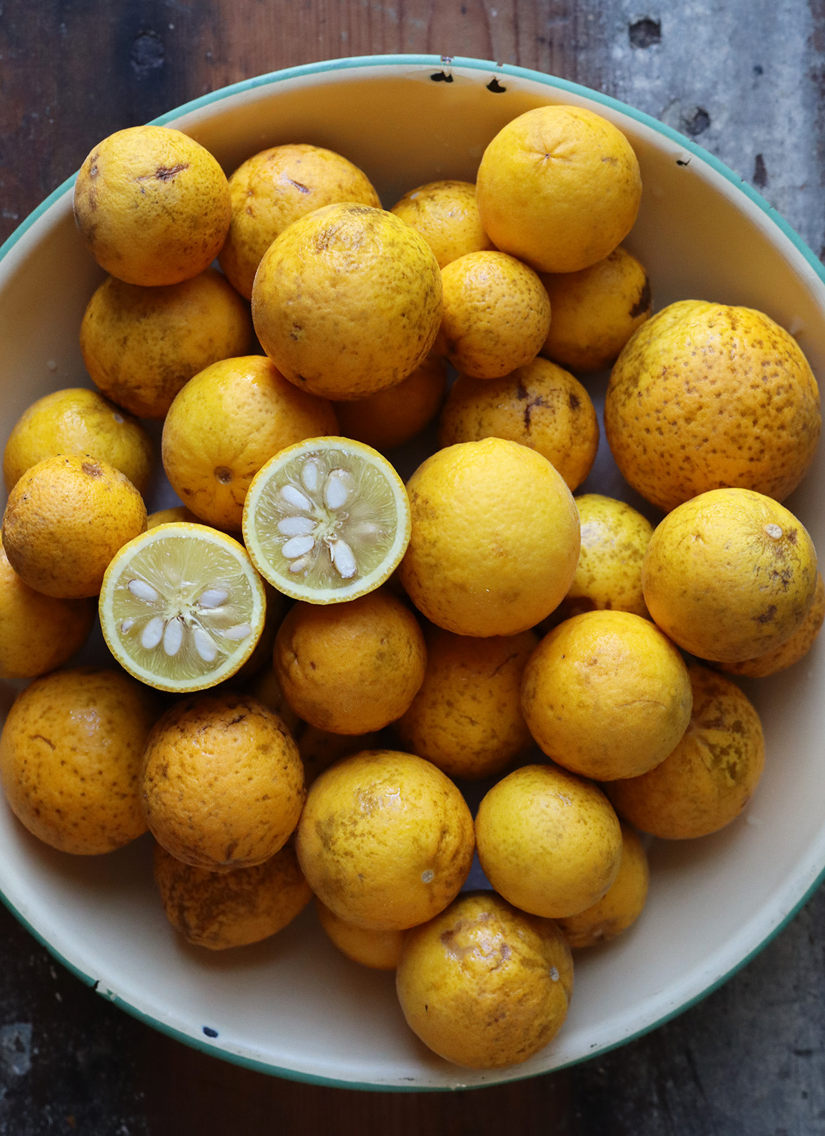 Hardy Orange: A Good Citrus to Grow in Cold Cimates