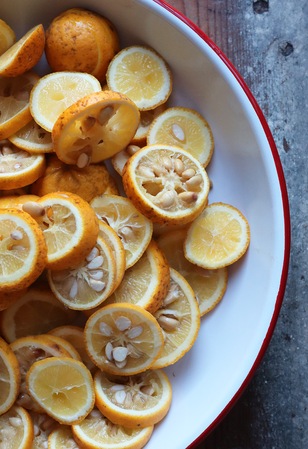 Hardy Orange: A Good Citrus to Grow in Cold Cimates