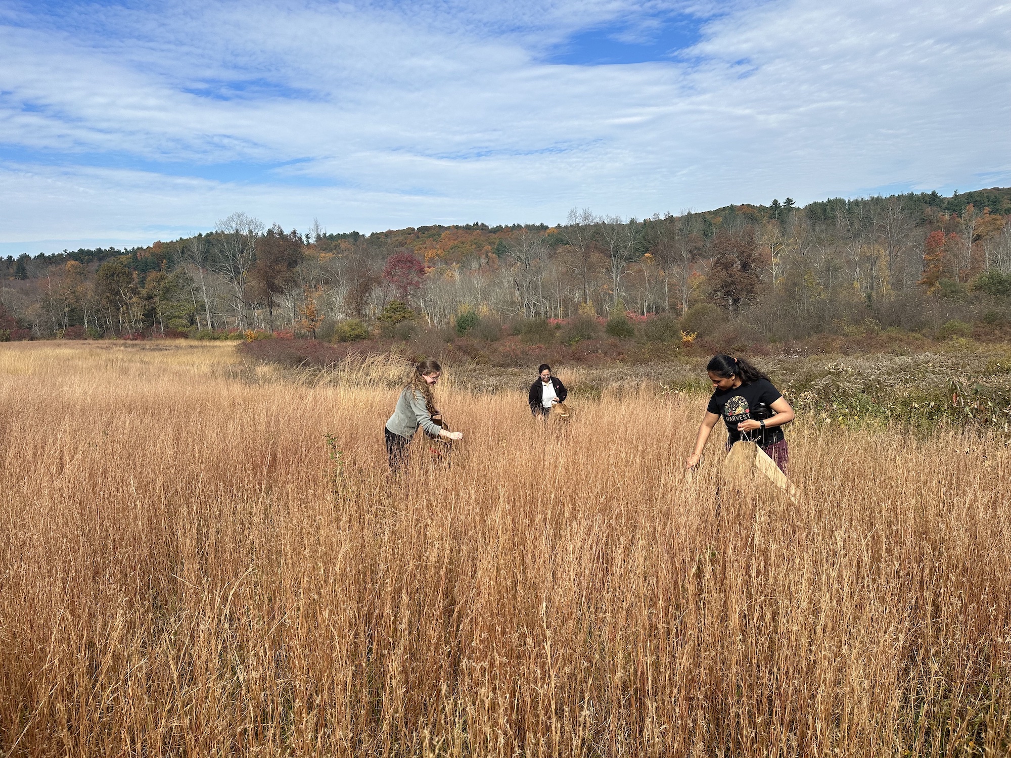 Hilltop Hanover Farm: Saving Local Native Seeds for a Resilient Future