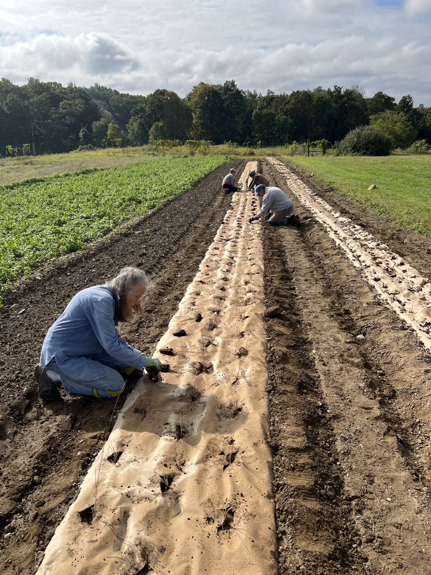 Hilltop Hanover Farm: Saving Local Native Seeds for a Resilient Future