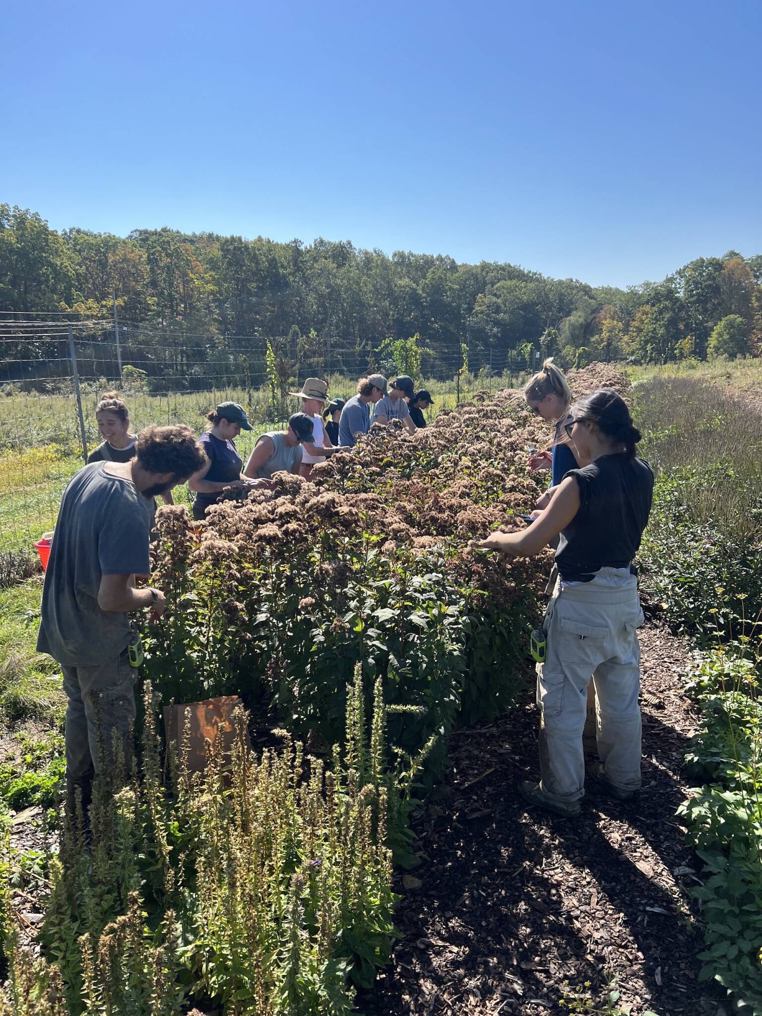 Hilltop Hanover Farm: Saving Local Native Seeds for a Resilient Future