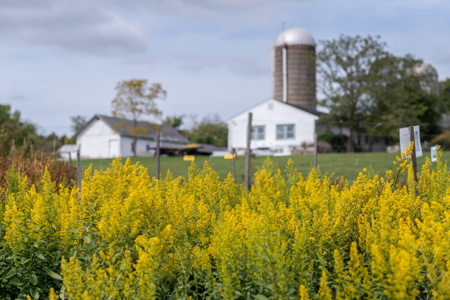 Hilltop Hanover Farm: Saving Local Native Seeds for a Resilient Future