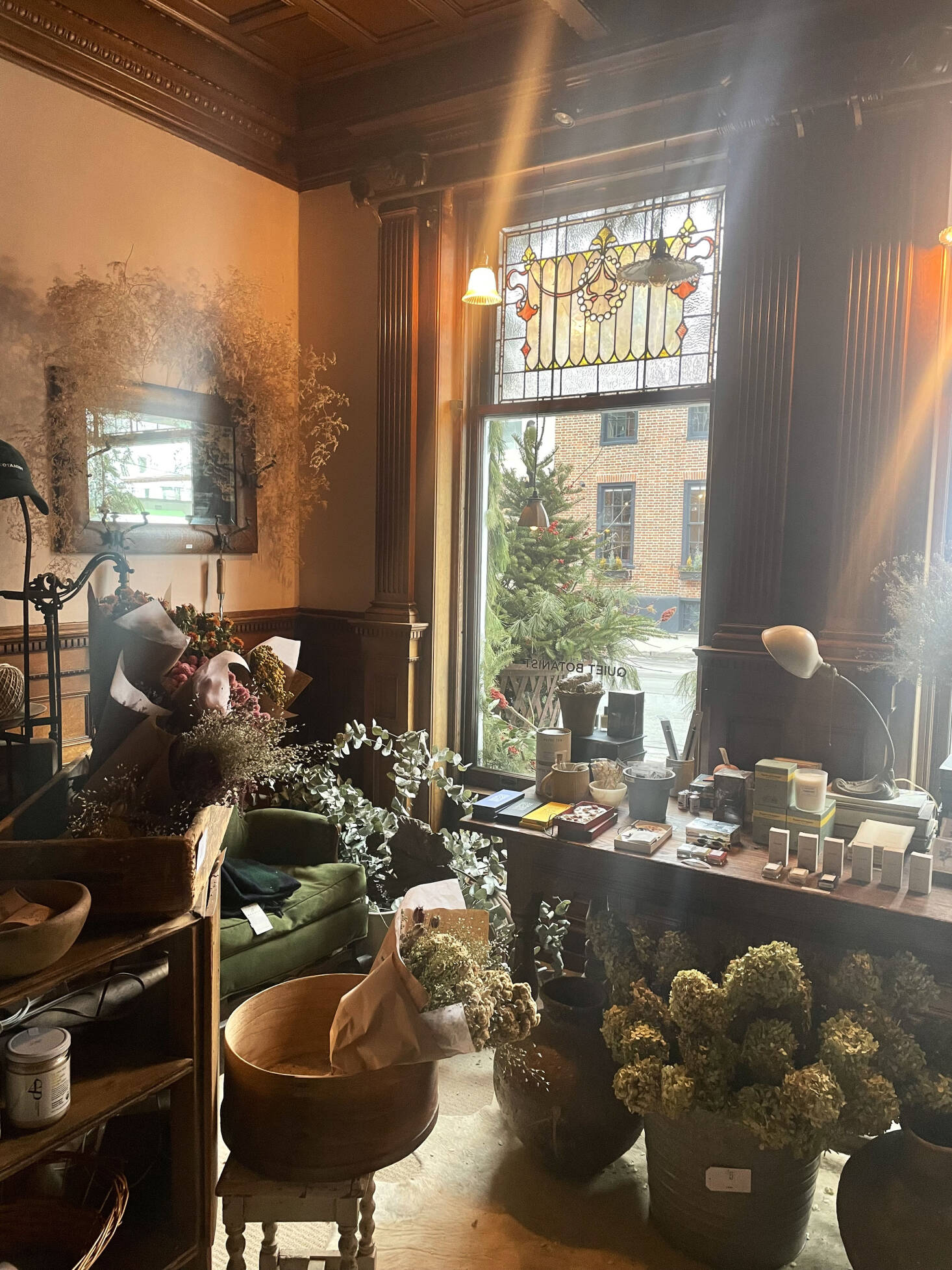 The Quiet Botanist: Rebecca O’Donnell's Botanical Store in Hudson, NY