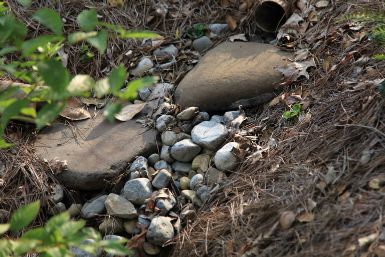 Garden Design to Help Absorb Stormwater and Prevent Flooding