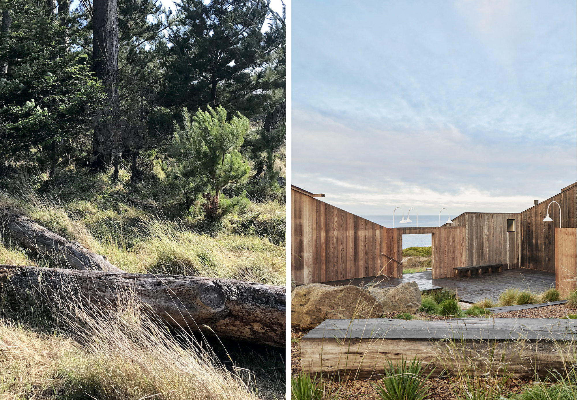 Sea Ranch Lodge Landscape Designed by Terremoto to Blend In