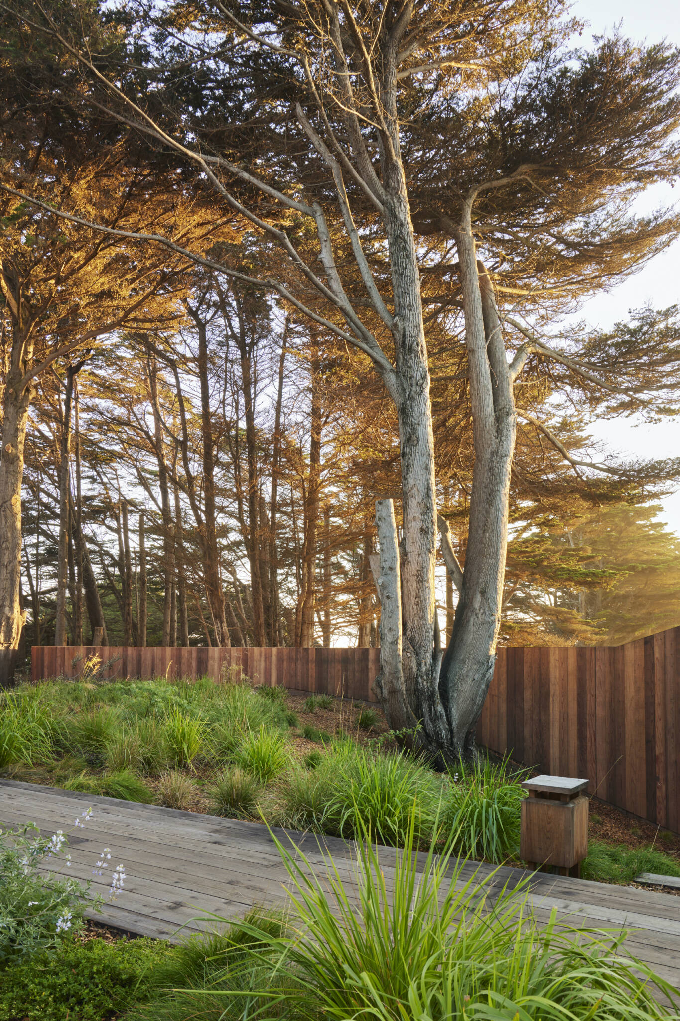 Sea Ranch Lodge Landscape Designed by Terremoto to Blend In
