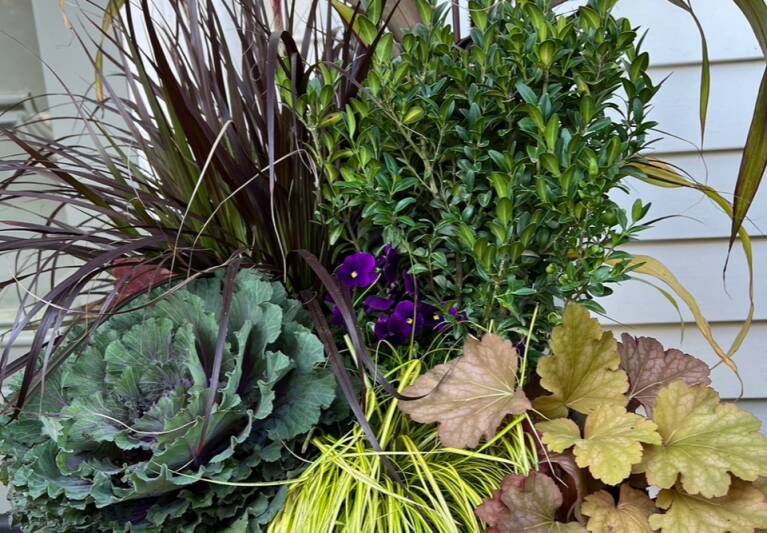 All Gardenista Garden Design Inspiration Stories in One Place