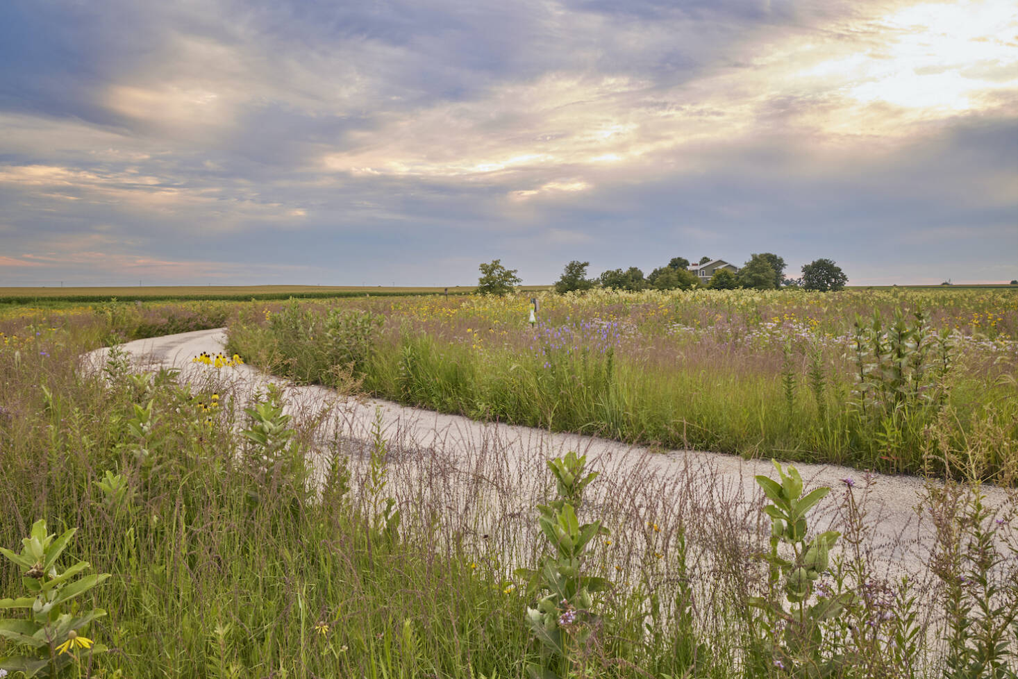 'The Low-Impact Garden' Sneak Peek: Jack Pizzo's Prairie Garden in Illinois