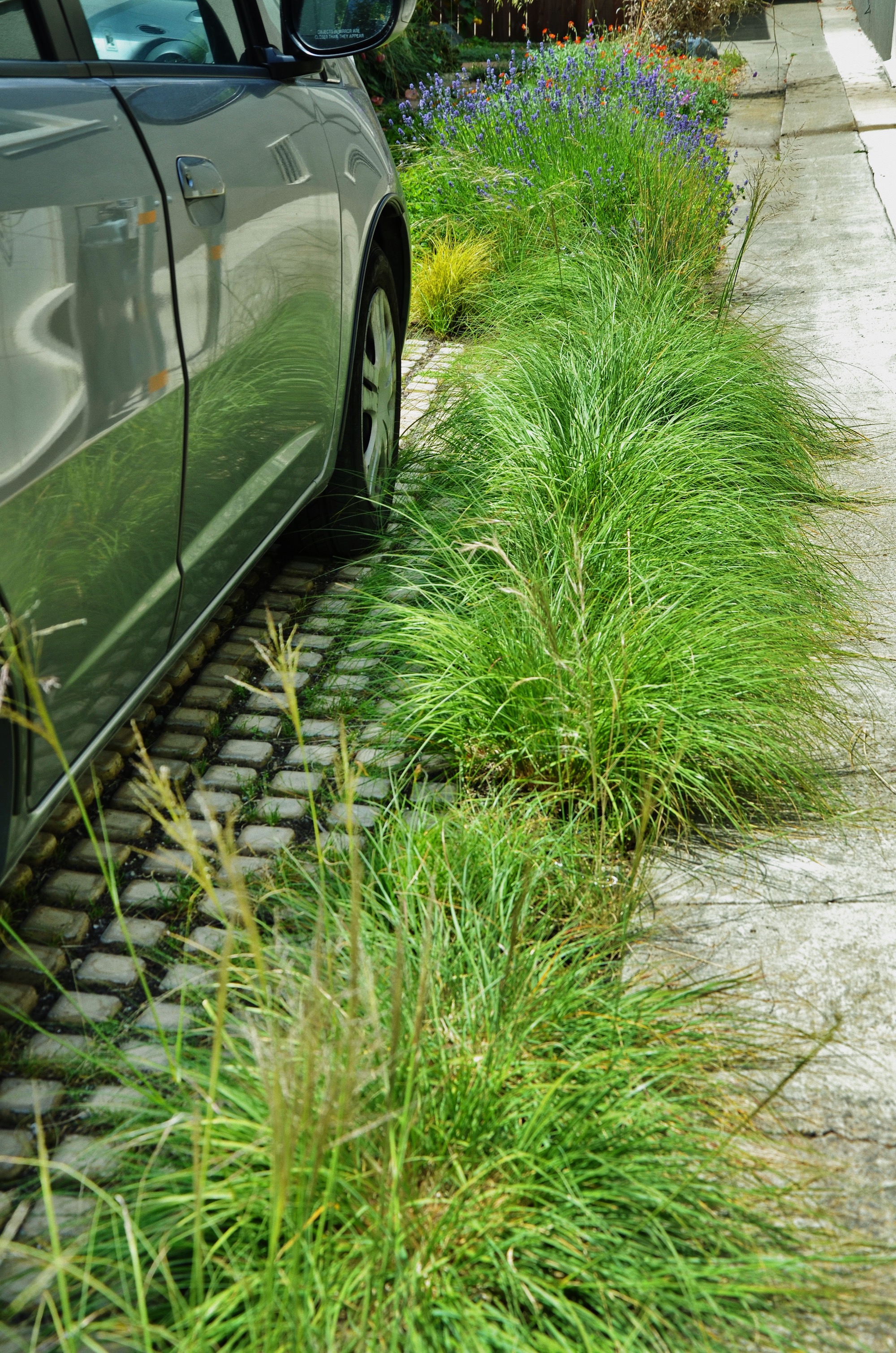 Naturalistic Permeable Driveways:Tips on Creating a Beautiful Place to ...