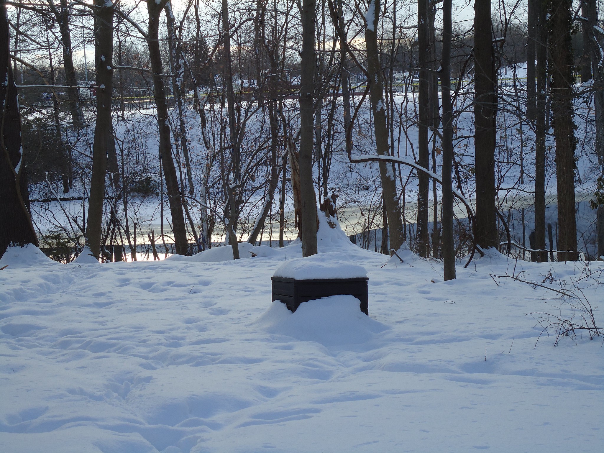 Composting in the Winter: Tips to Ensure Mature Compost in Spring