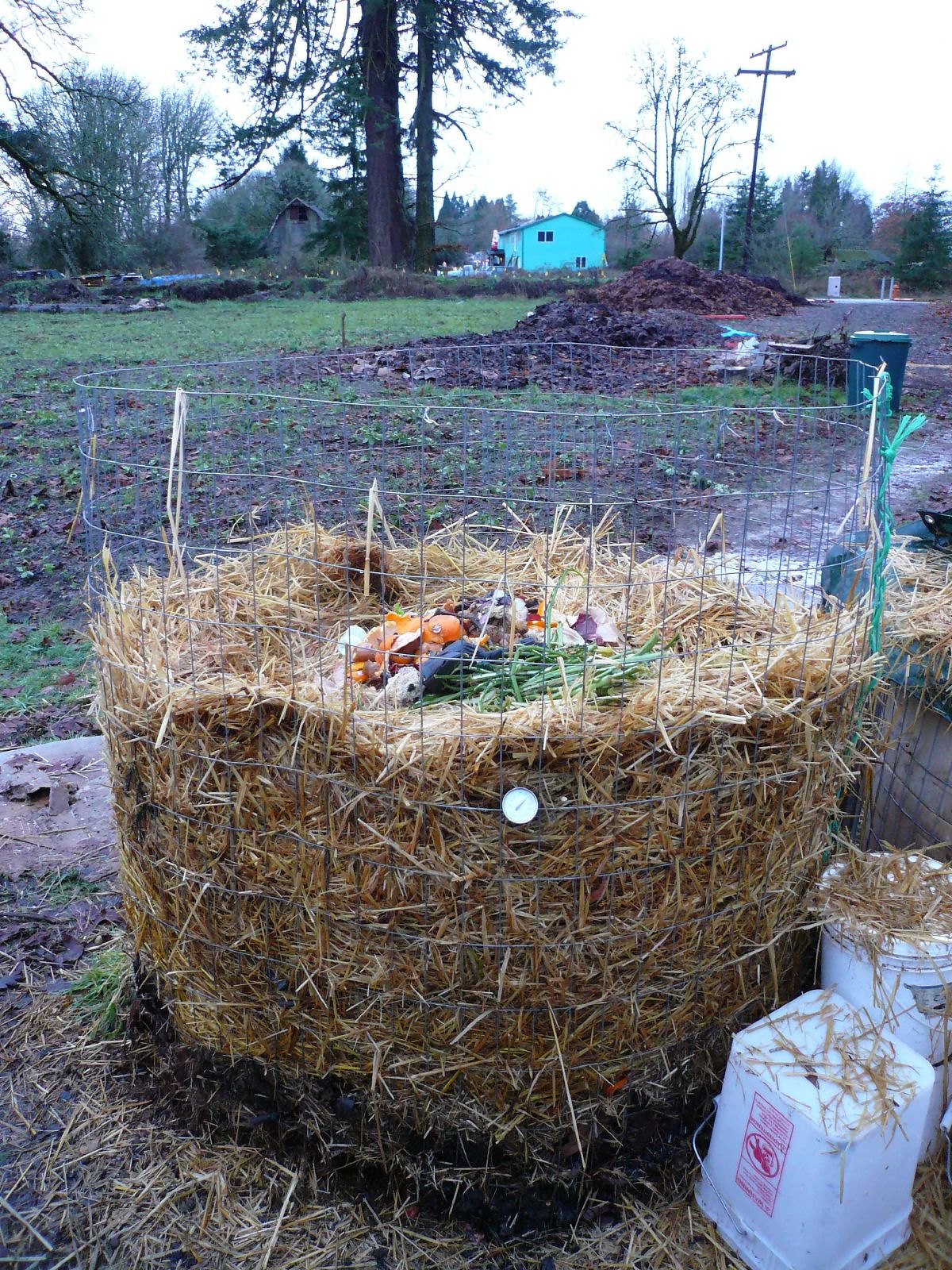 Composting in the Winter: Tips to Ensure Mature Compost in Spring