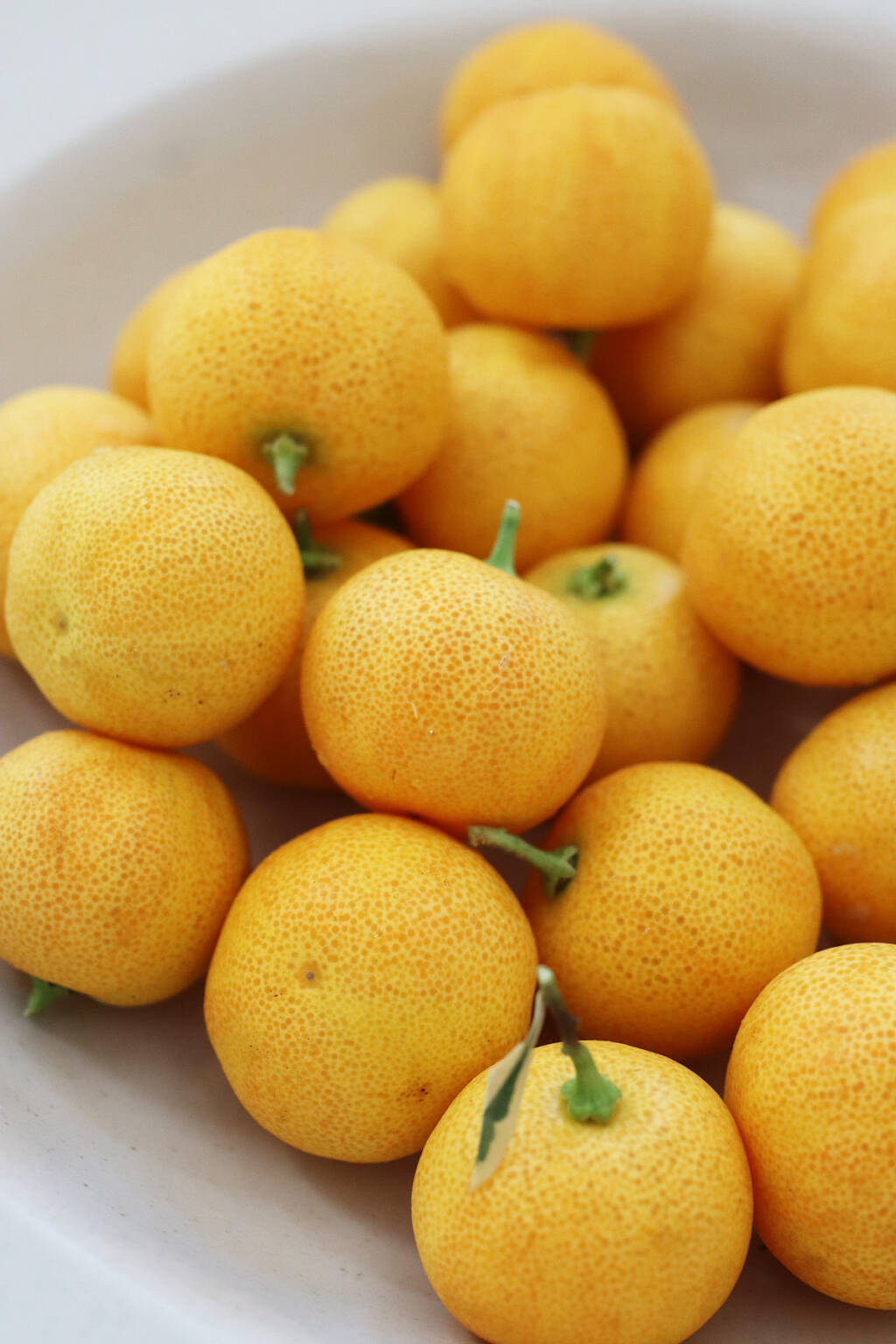 Calamansi: Everything You Need to Know About Calamondin Citrus Fruit