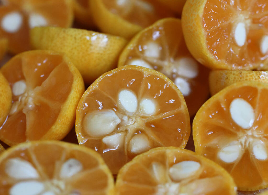 Calamansi: Everything You Need to Know About Calamondin Citrus Fruit