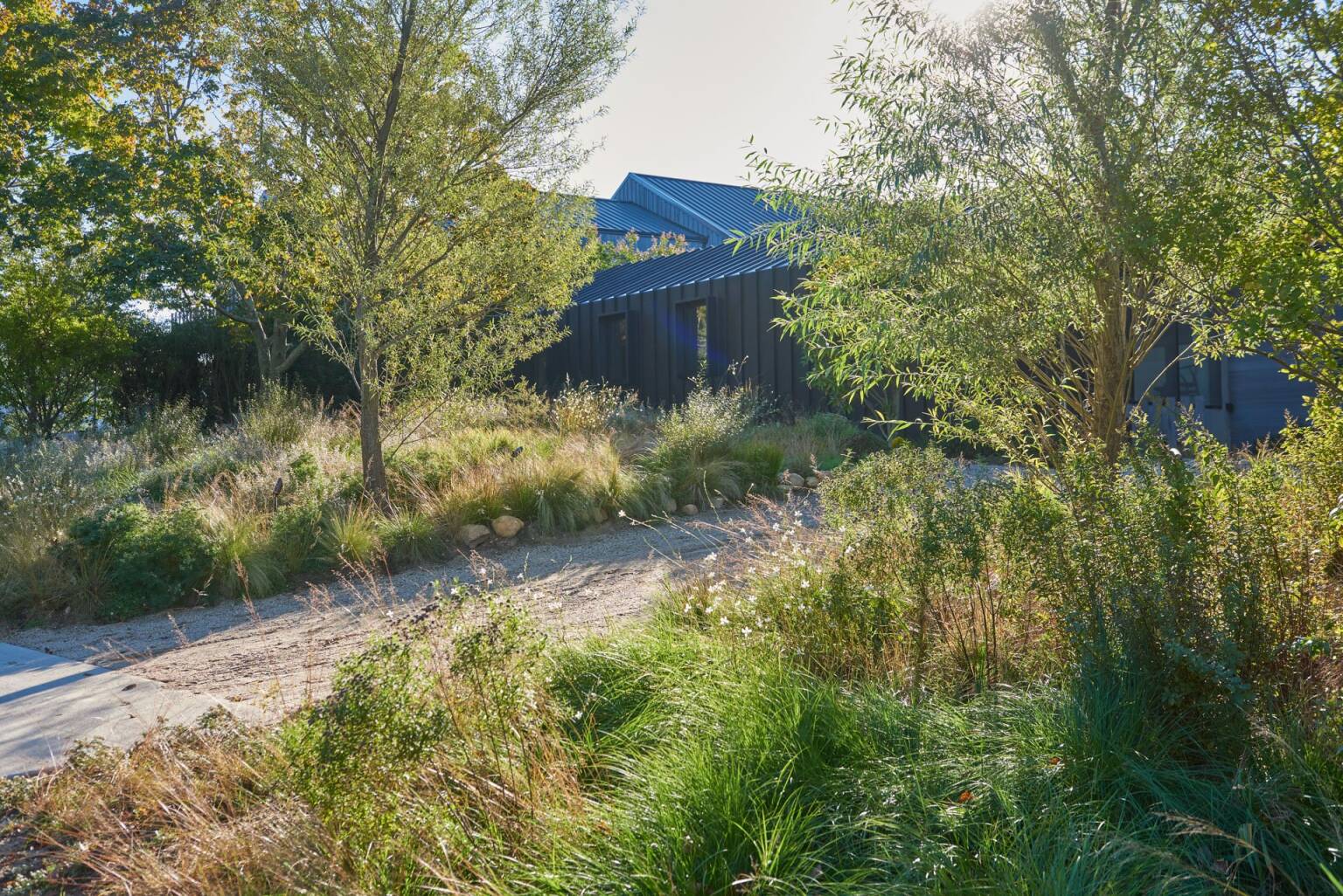 A Meadow Front Yard for Martin Architects by deMauro + deMauro
