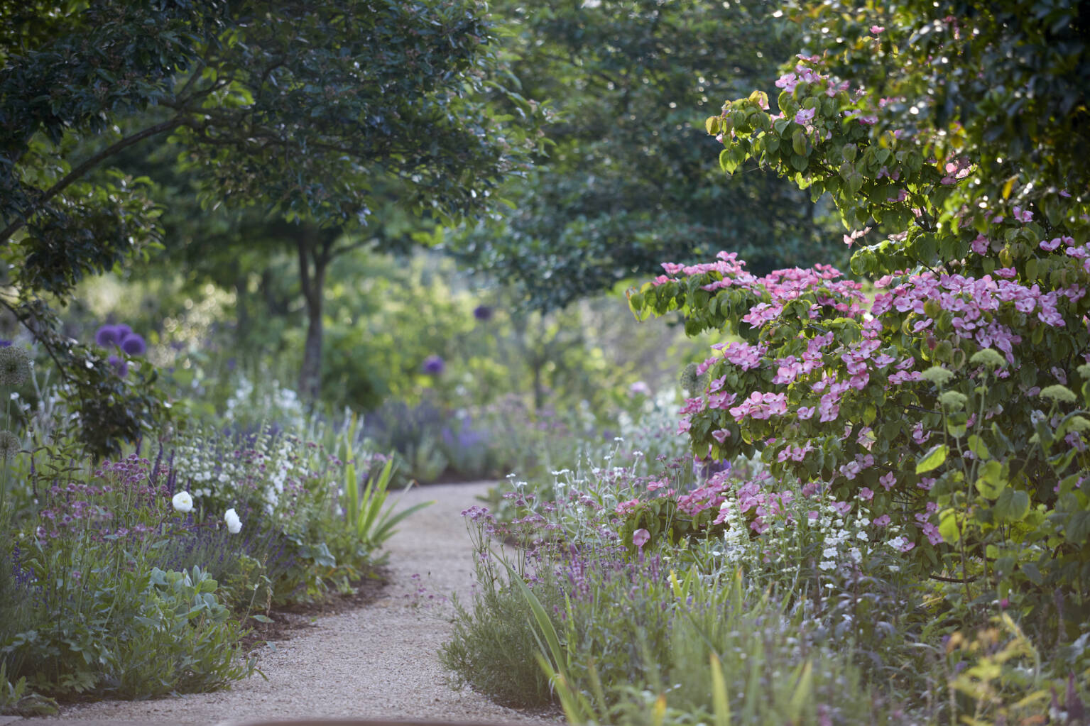 Jinny Blom: An Interview with the Author of 'What Makes a Garden'