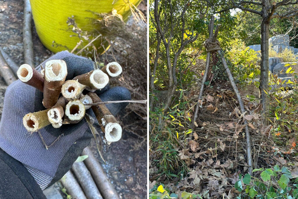 The Bug Snug: An Easy DIY Insect Habitat by OmVed Gardens