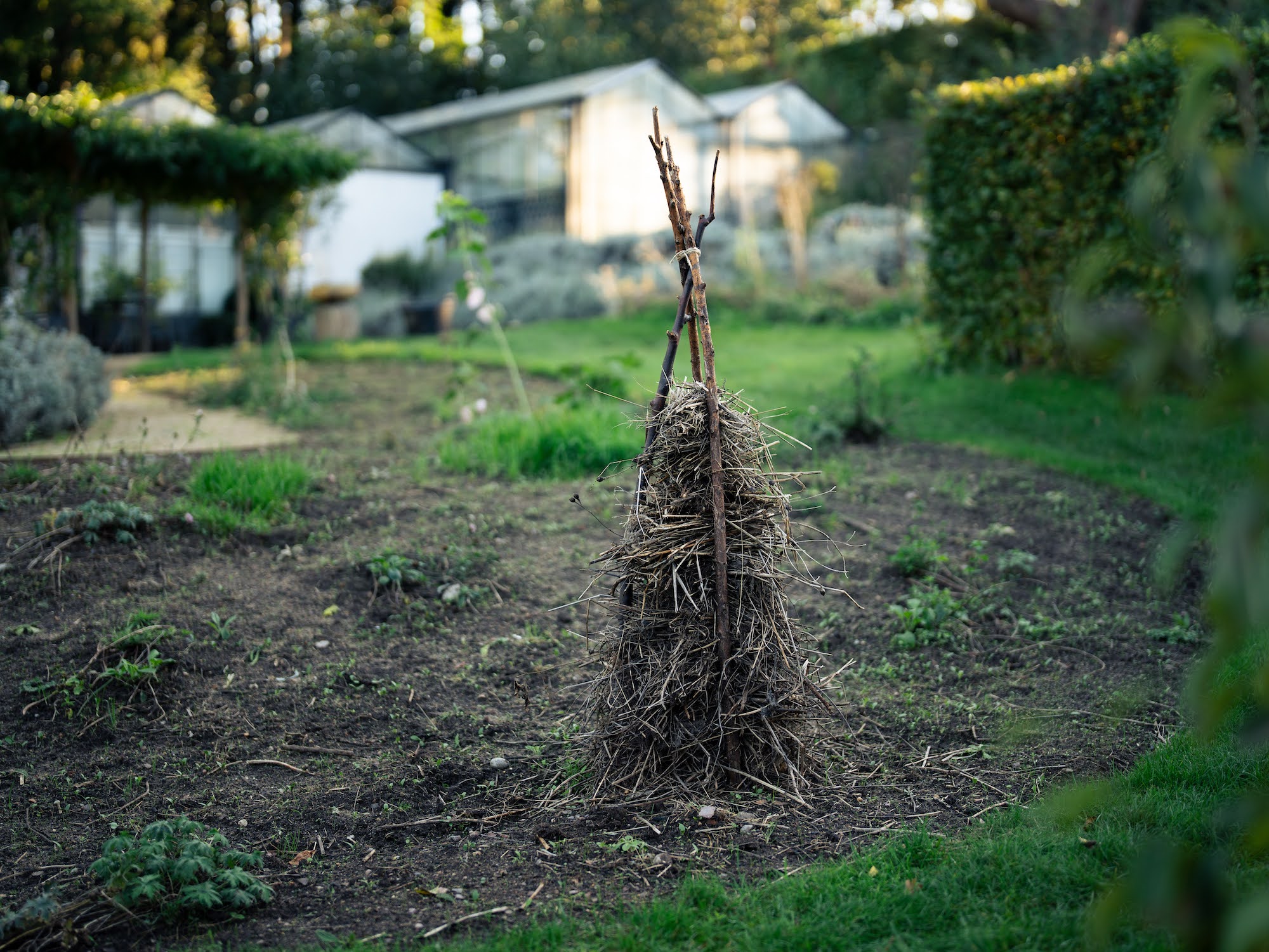 The Bug Snug: An Easy DIY Insect Habitat by OmVed Gardens