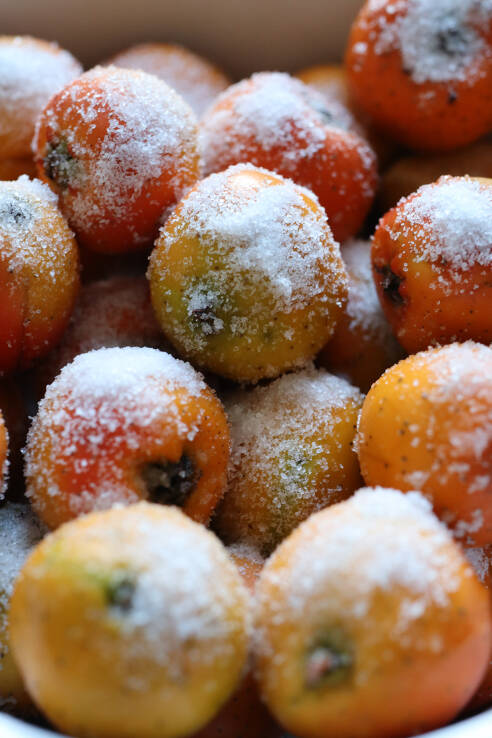 Tejocote: All About the fruit of a Mexican Species of Hawthorn