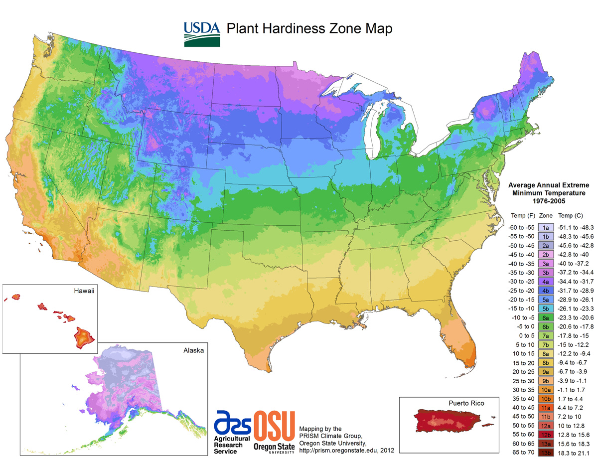 The New USDA Hardiness Zone Map 2023: What This Means for You
