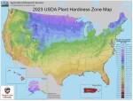The New USDA Hardiness Zone Map 2023: What This Means for You